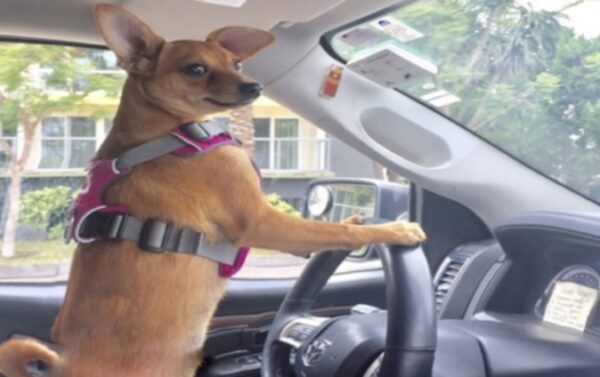 Home - Specific Pacific Foods